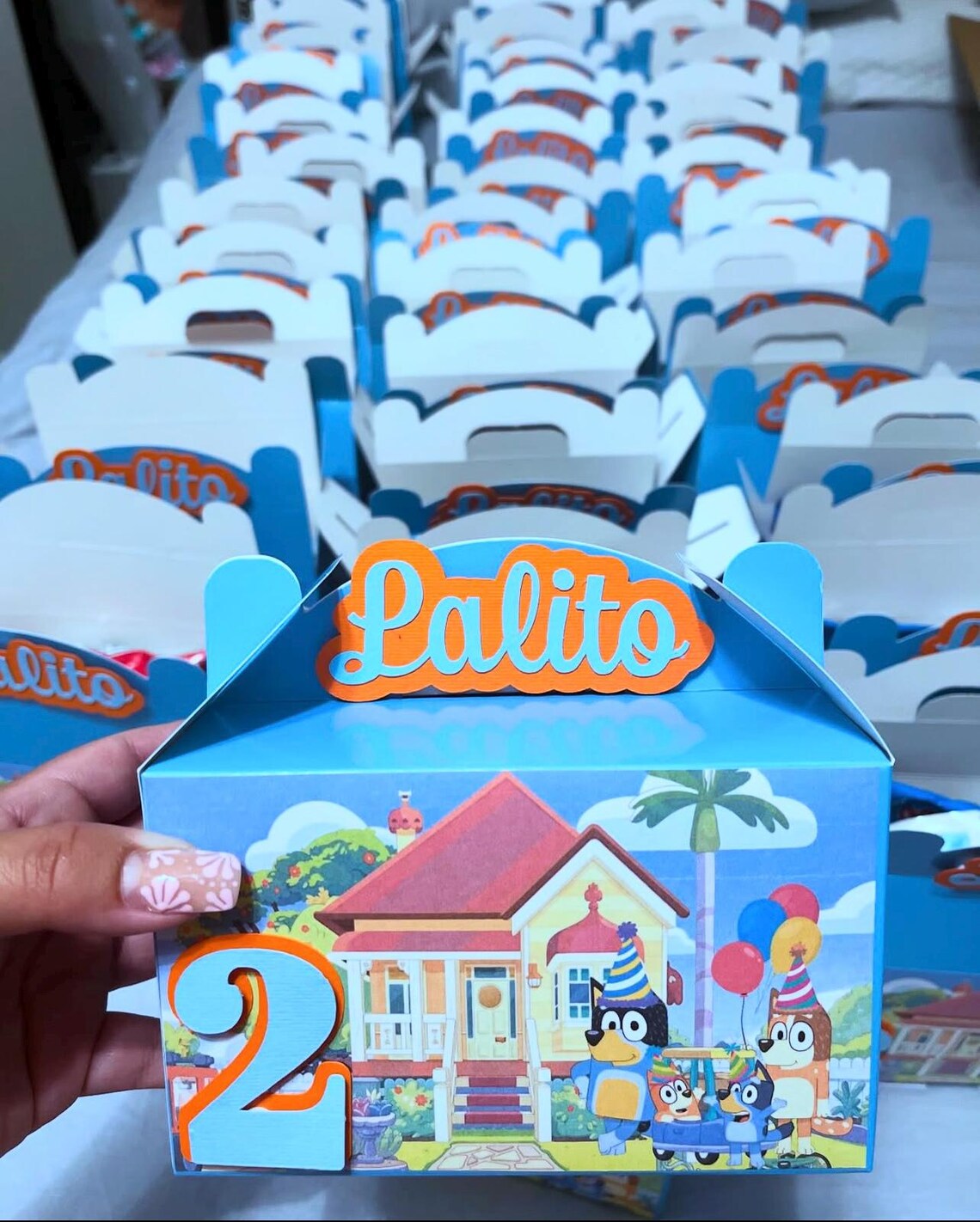 Bluey Party Favor Boxes/treat Boxes/gable Boxes - Etsy