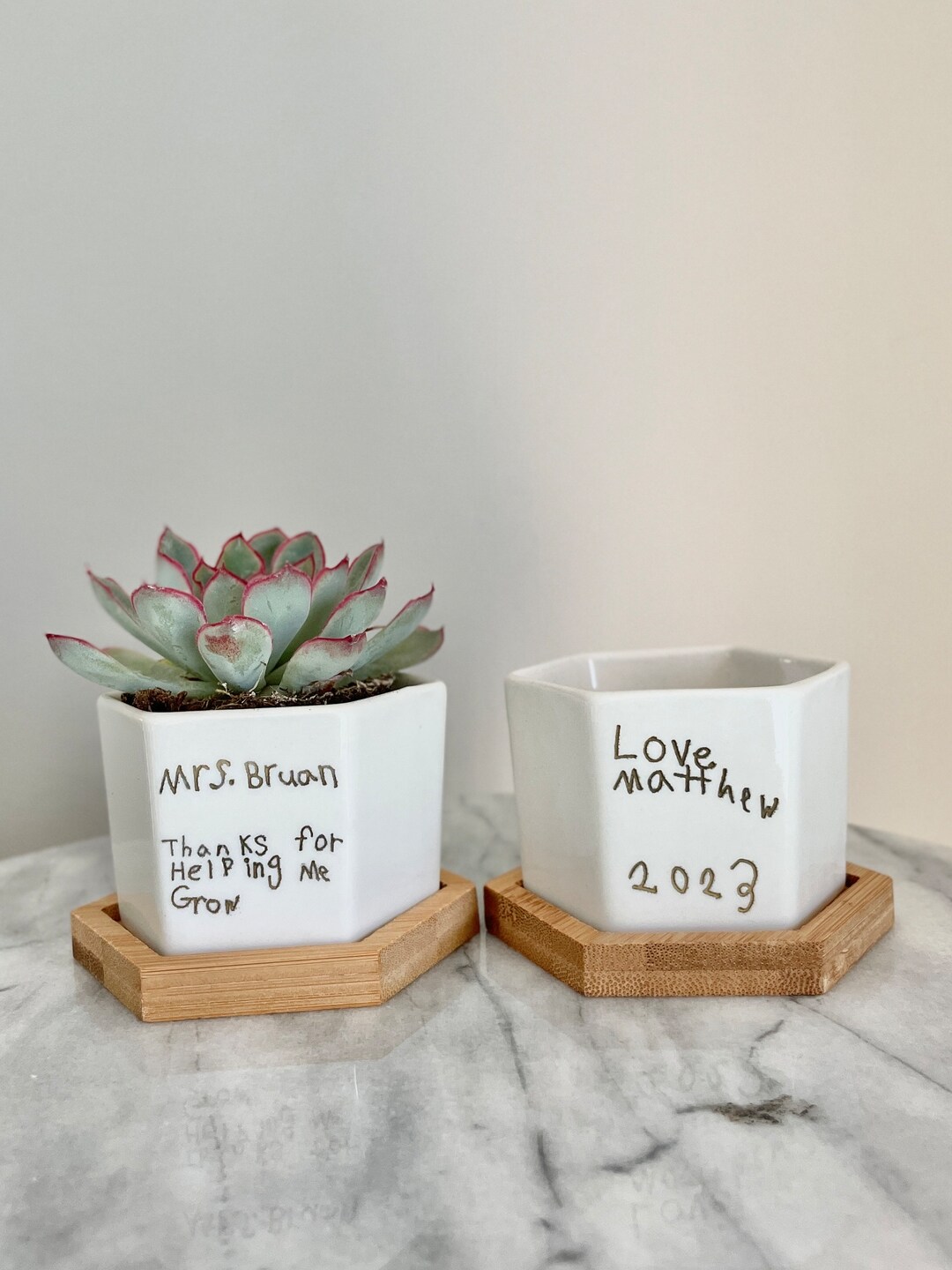 Tiny Personalized Succulent Planter, Hexagon, Plant Gift, Actual ...