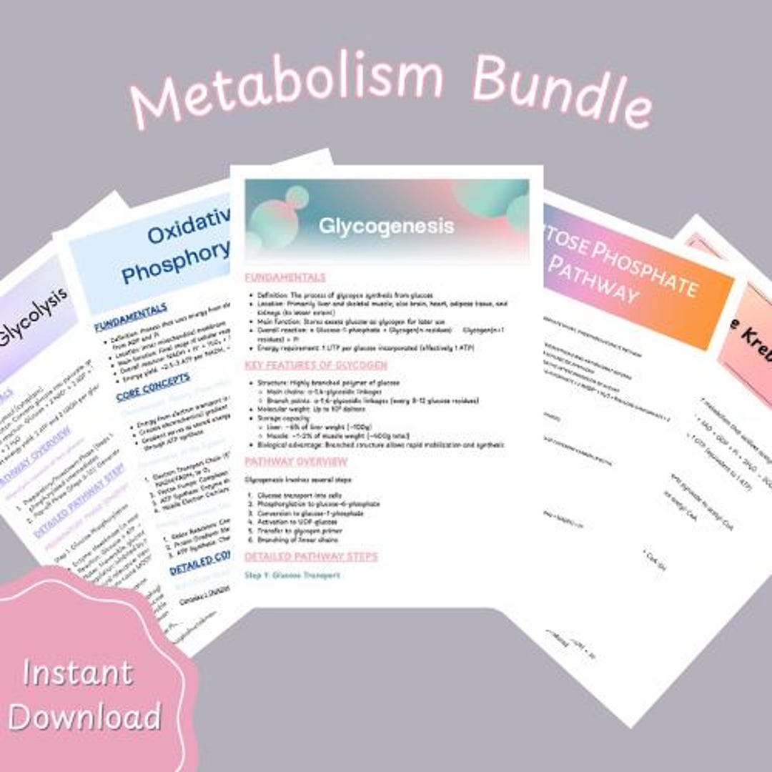 Digital Biochemistry Study Guides Bundle: Krebs Cycle, Glycolysis ...