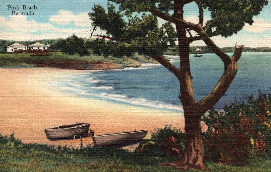 Vintage Postcard, Bermuda, Pink Beach, Beach Postcard, Bermuda Postcard ...