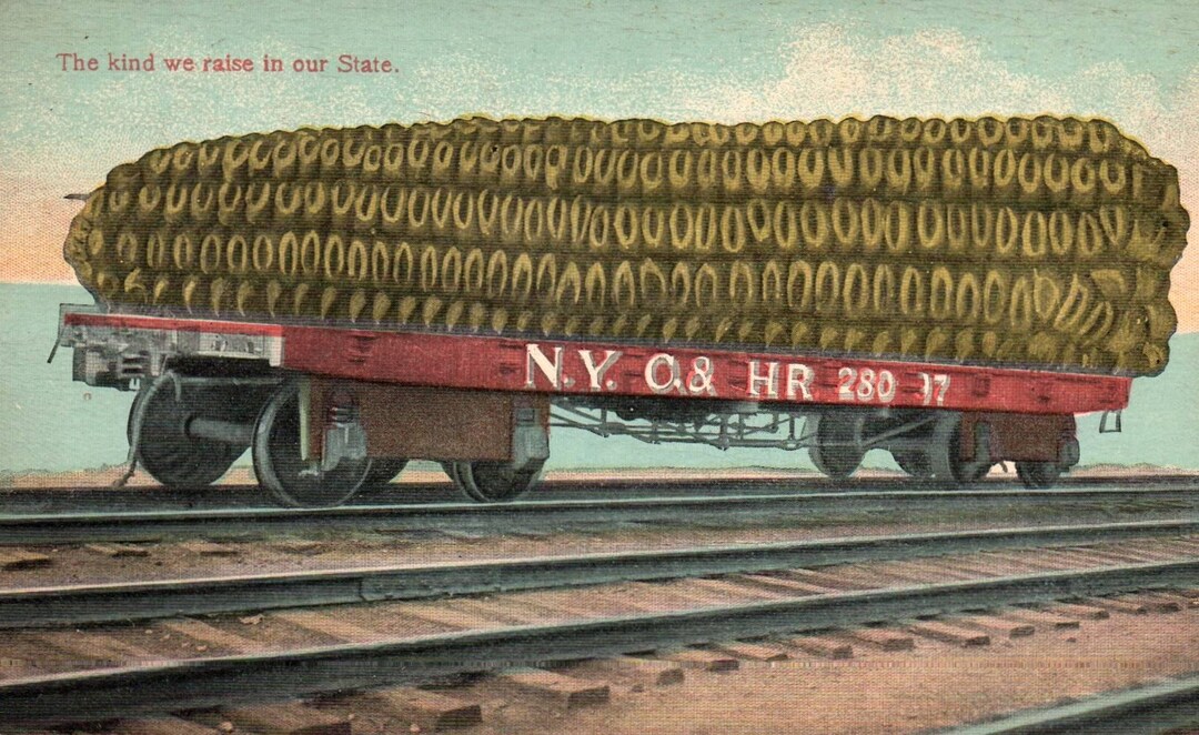 Vintage Postcard, Large Ear of Corn, Agriculture, Railroad, Ephemera ...