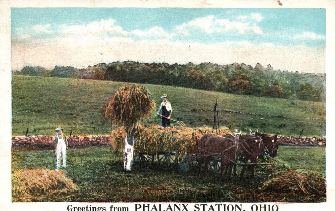 Vintage Postcard, Phalanx Station, Ohio, Farmers, Hay Season, Hay Field ...
