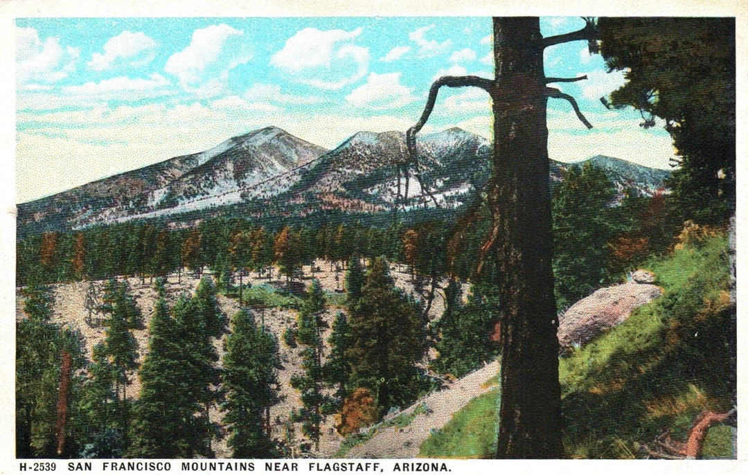 Vintage Postcard, Flagstaff, Arizona, San Francisco Mountains, Postcard ...