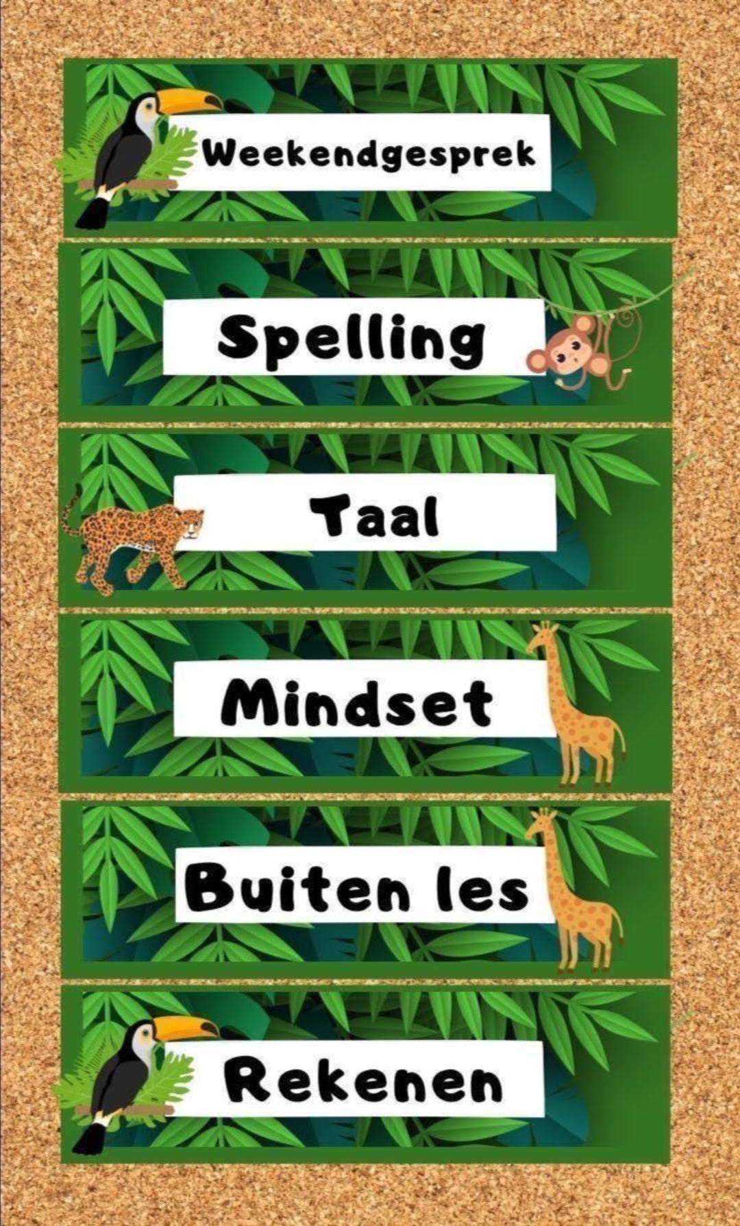 45 Daily Routine Cards Jungle Style – for School | Classroom Structure ...