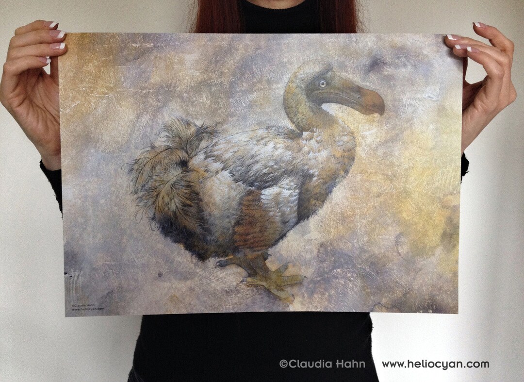 Dodo Poster - Etsy