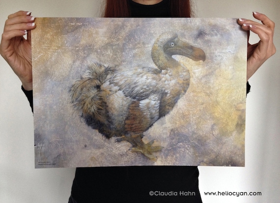 Dodo Poster | Etsy