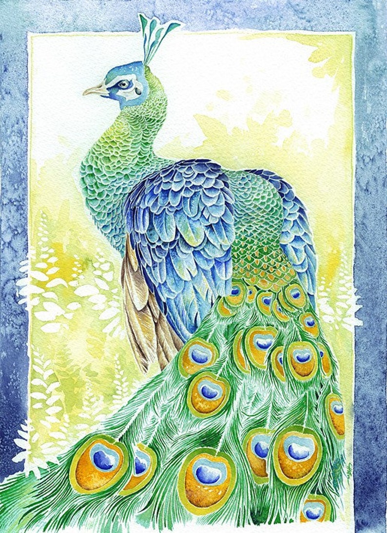 A4 Print 'peacock' - Etsy