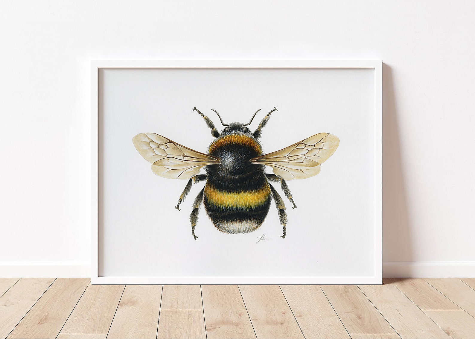 Print, Bumble-bee Fine Art Poster, Hand Painted Insect, Home Decor - Etsy