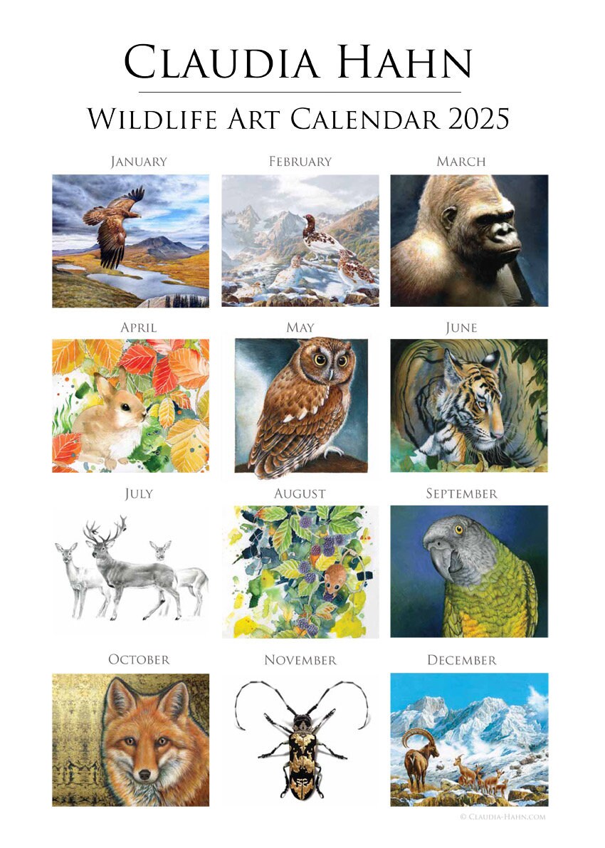 2025 Wall Calendar, Planner, Nature Art Calendar, Traditional Art - Etsy