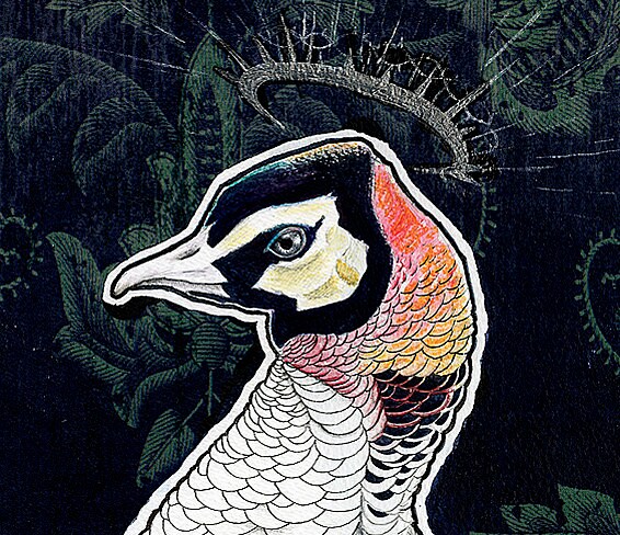 Dark Gothic Peacock Poster - Etsy