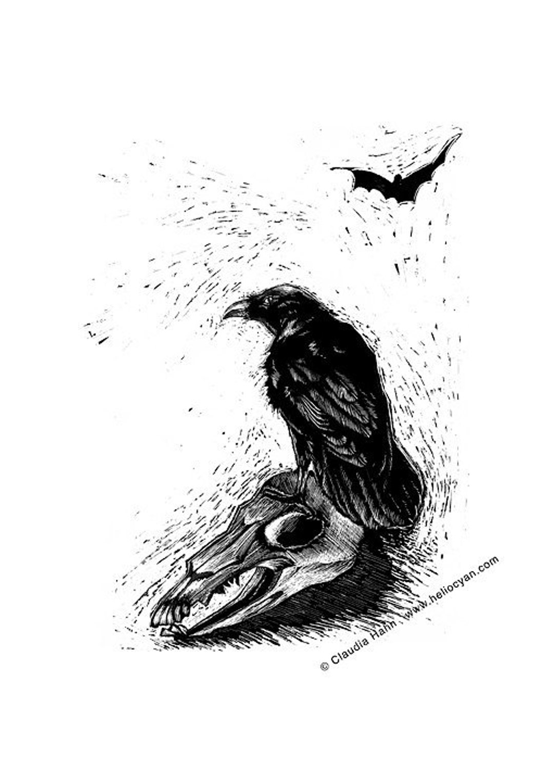A4 PRINT 'raven and Skull' / Erlking - Etsy