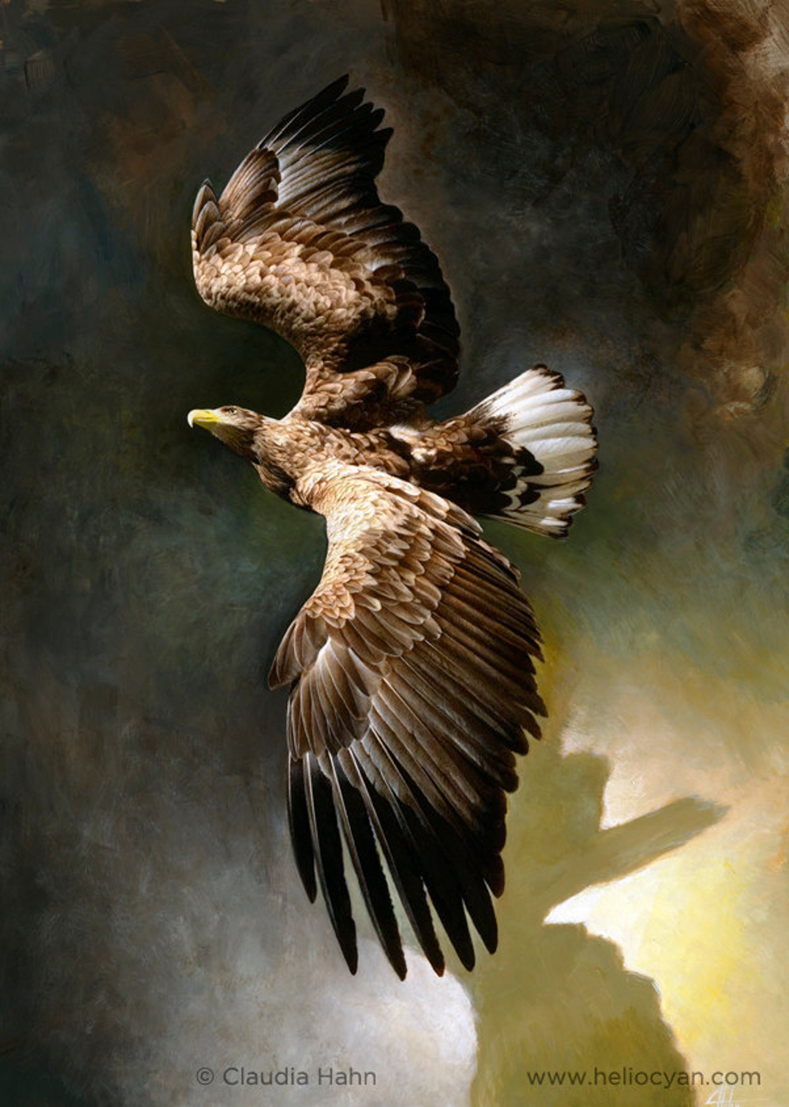 Eagle Fine Art Print 'stormbringer' Eagle Poster - Etsy