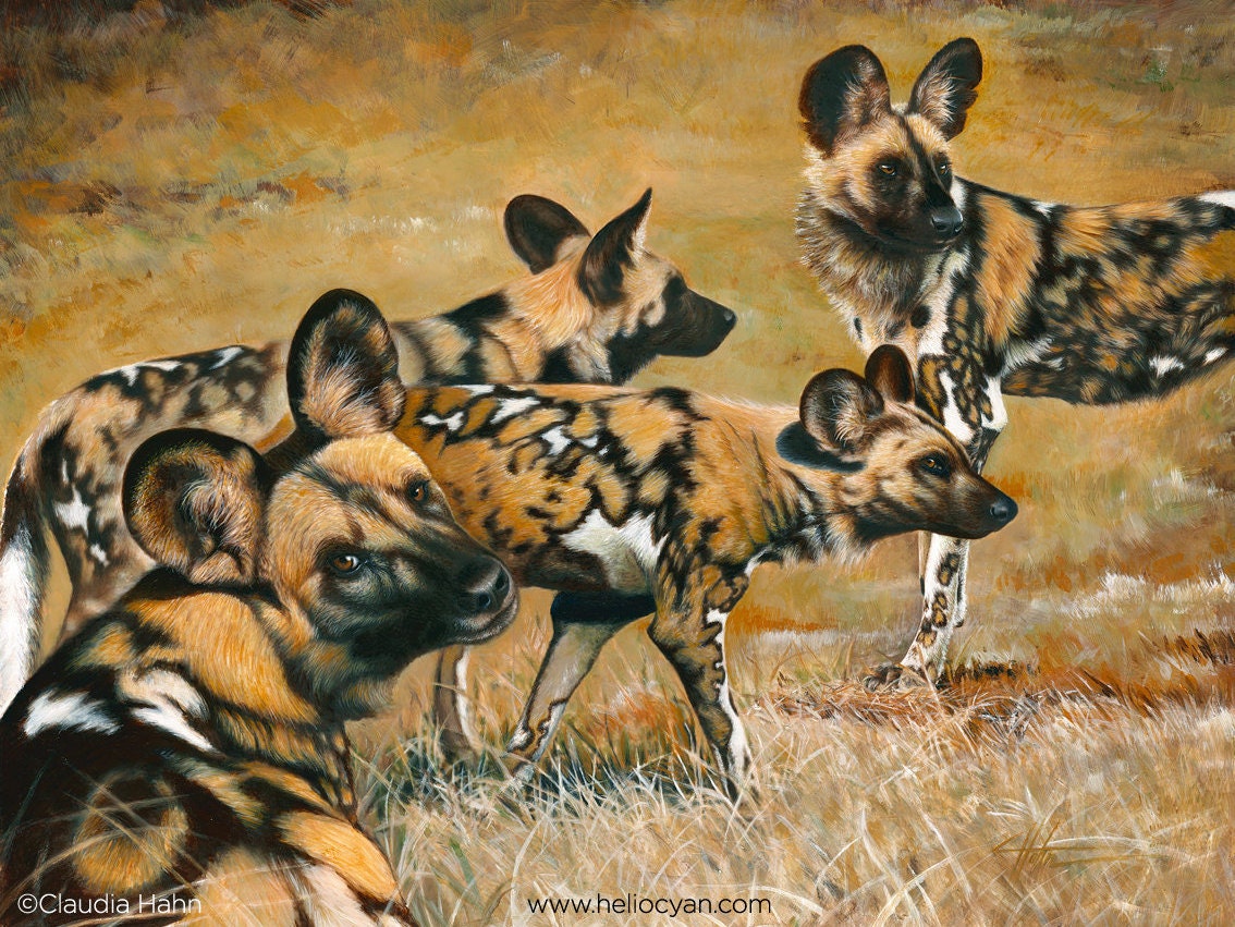 Colours of Africa / African Wild Dogs, African Painted Dog Wall Art - Etsy