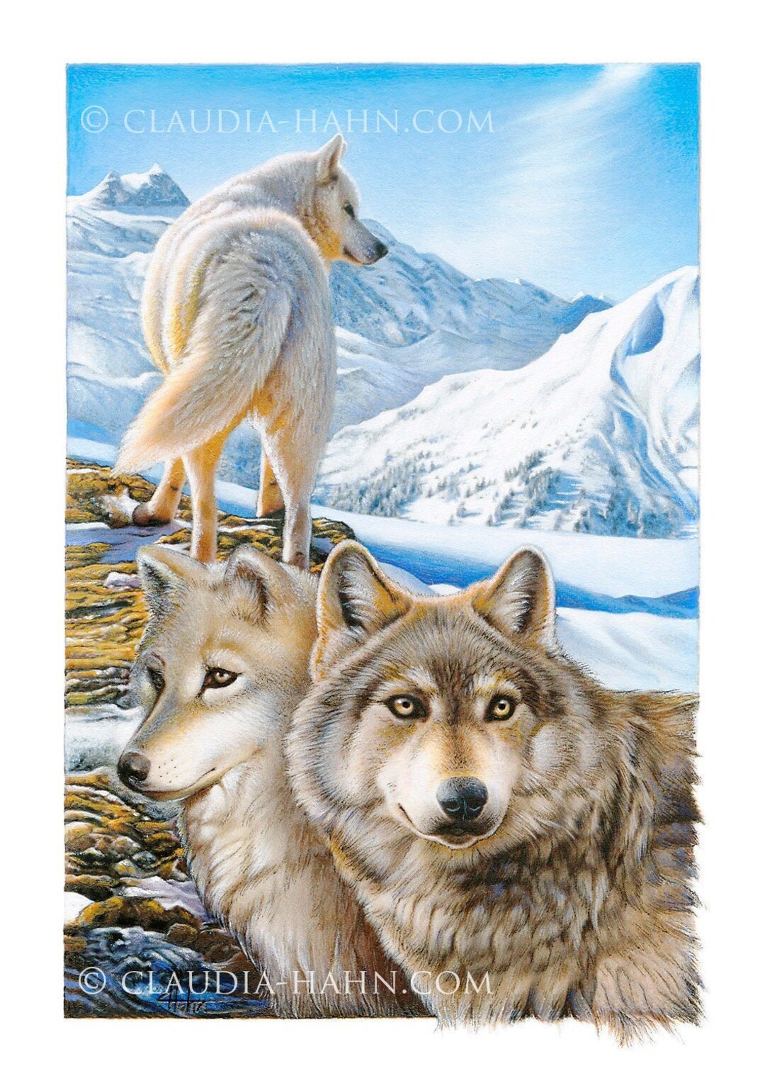 Fine Art Print 'the Sentinel' Wolves, by Claudia Hahn, Wolf Pack, Rocky ...