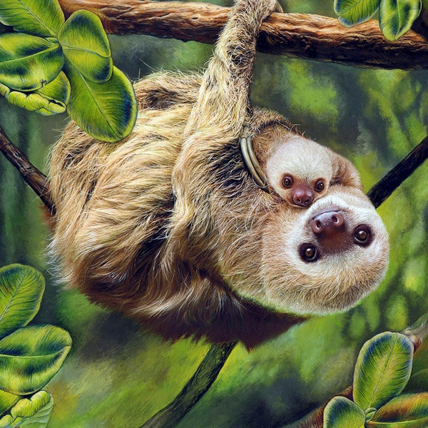 Sloth Painting - Etsy UK