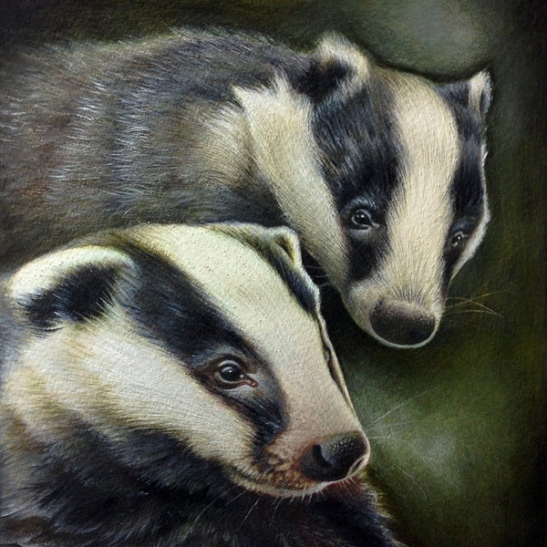 Large PRINT 'the Sunbittern' - Etsy