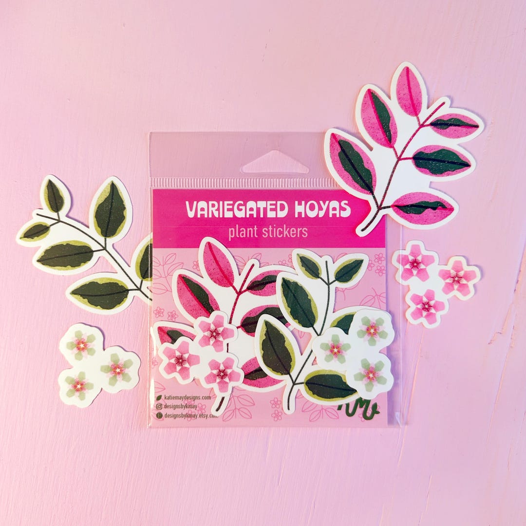 Hoya Variegated Houseplant Sticker Set: Waterproof Vinyl Decals - Etsy