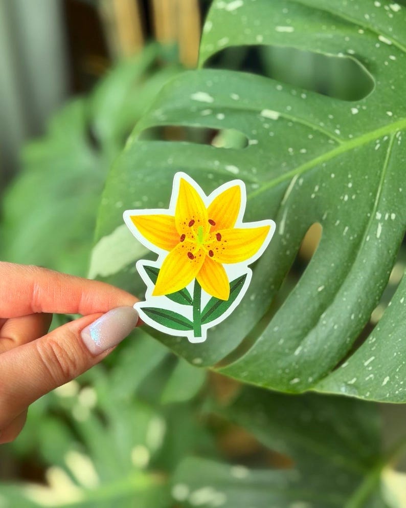 Spring Flowers Vinyl Sticker Set - Foxglove Pansy Lily Coneflower ...