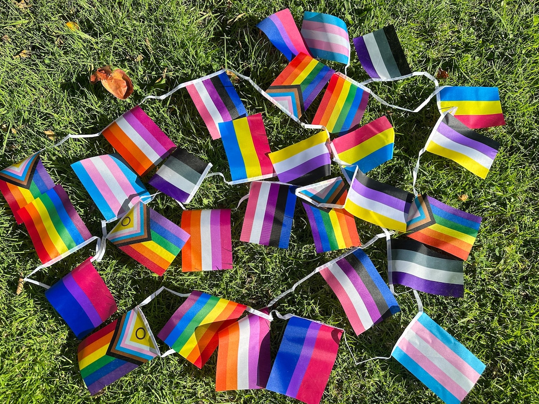 10m 30 Flags LGBTQIA+ Pride Bunting Identity Rainbow Trans Bi Pan ...