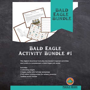 Bald Eagle Activity Worksheets Unit Study Printable Instant Download - Etsy