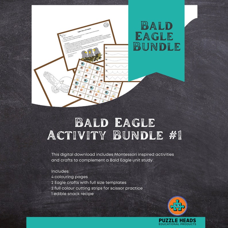 Bald Eagle Activity Worksheets Unit Study Printable Instant Download - Etsy