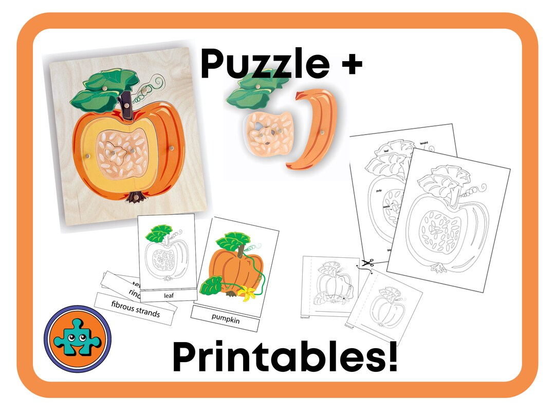 Montessori Pumpkin Wooden Puzzle AND Parts of Pumpkin Anatomy Printable ...