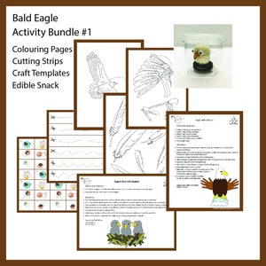 Bald Eagle Activity Worksheets Unit Study Printable Instant Download - Etsy