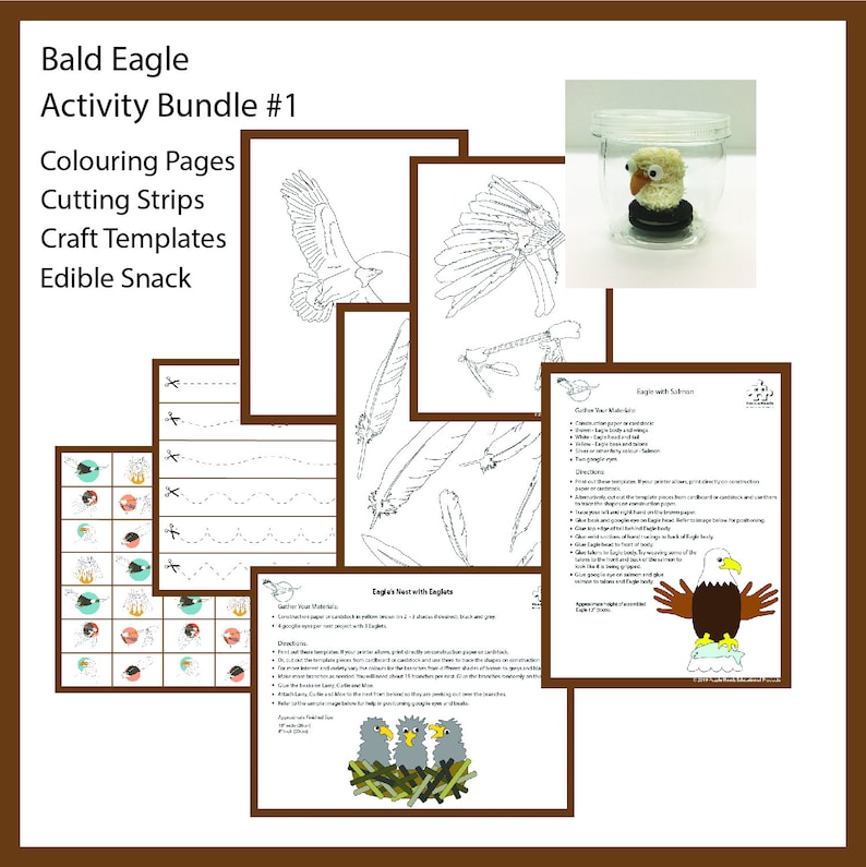 Bald Eagle Activity Worksheets Unit Study Printable Instant Download - Etsy