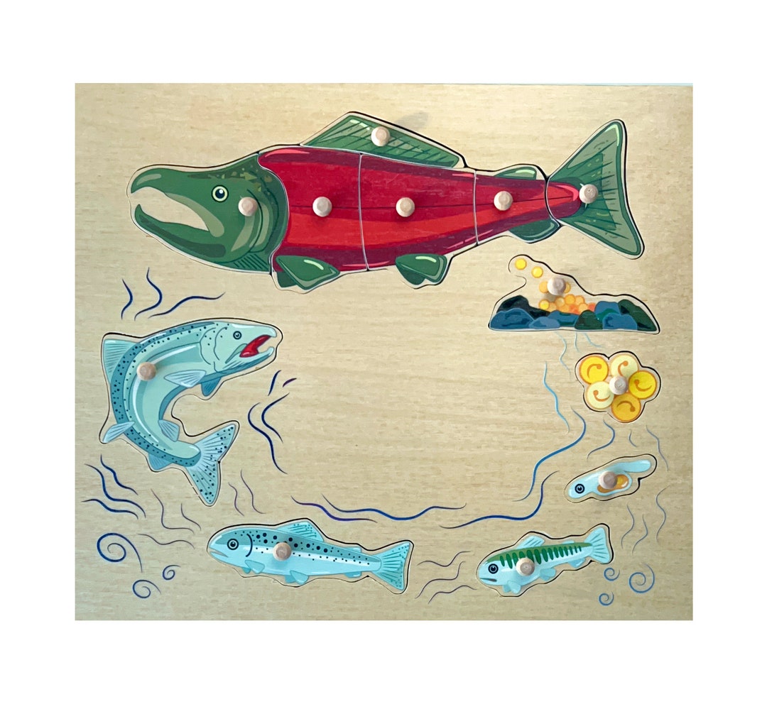 Montessori Salmon Lifecycle Wooden Puzzle Sockeye Parts of Salmon ...