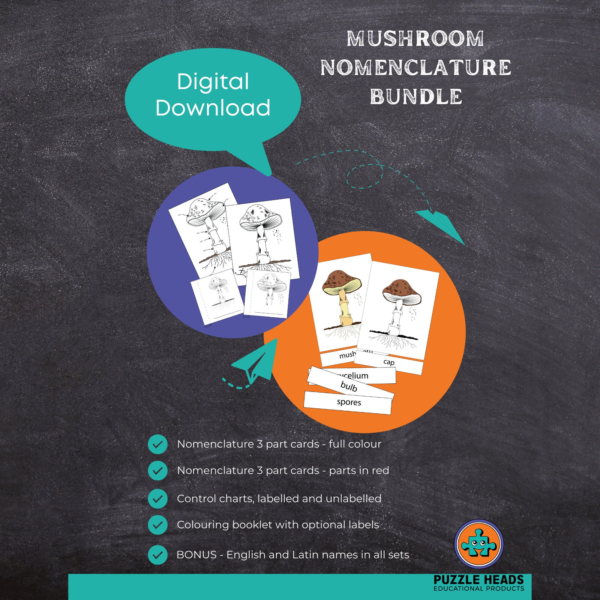 Parts of a Mushroom Anatomy Printable 3 Part Cards Unit Study ...