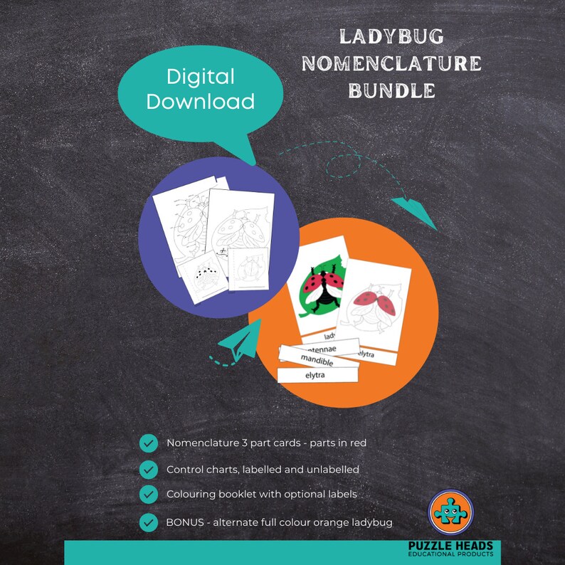 Ladybug Nomenclature 3 Part Cards Worksheets Printable Download - Etsy