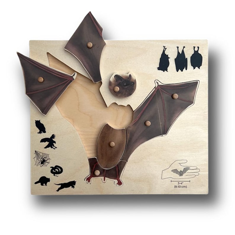 Montessori Bat Wooden Puzzle Parts of a Bat Anatomy - Etsy