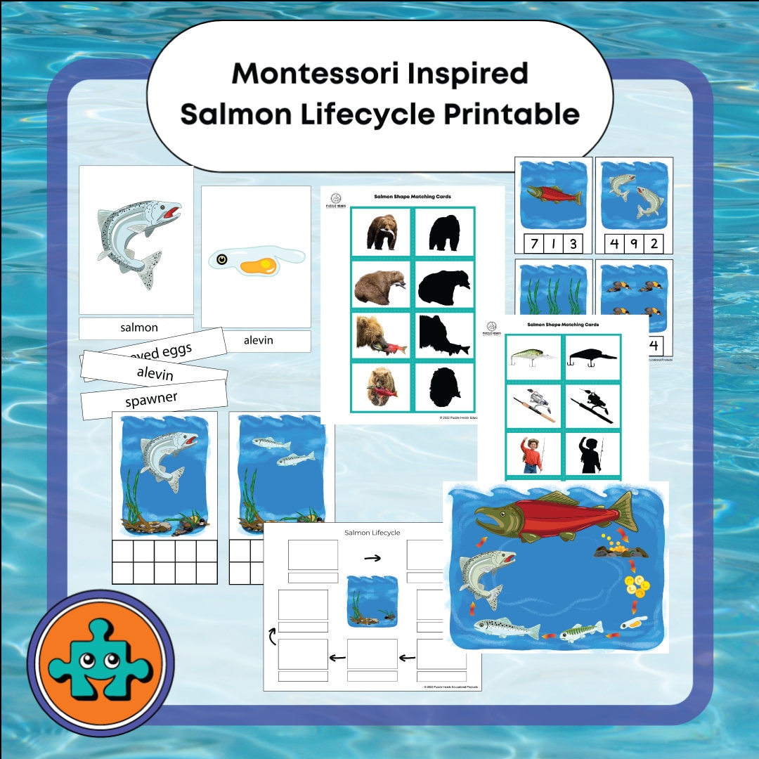 Salmon Lifecycle Printable Download 3 Part Cards Activity Worksheets ...