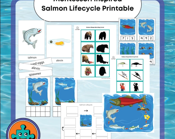 Salmon Life Cycle Cards, Life Cycle Study, Homeschool Science, Salmon ...