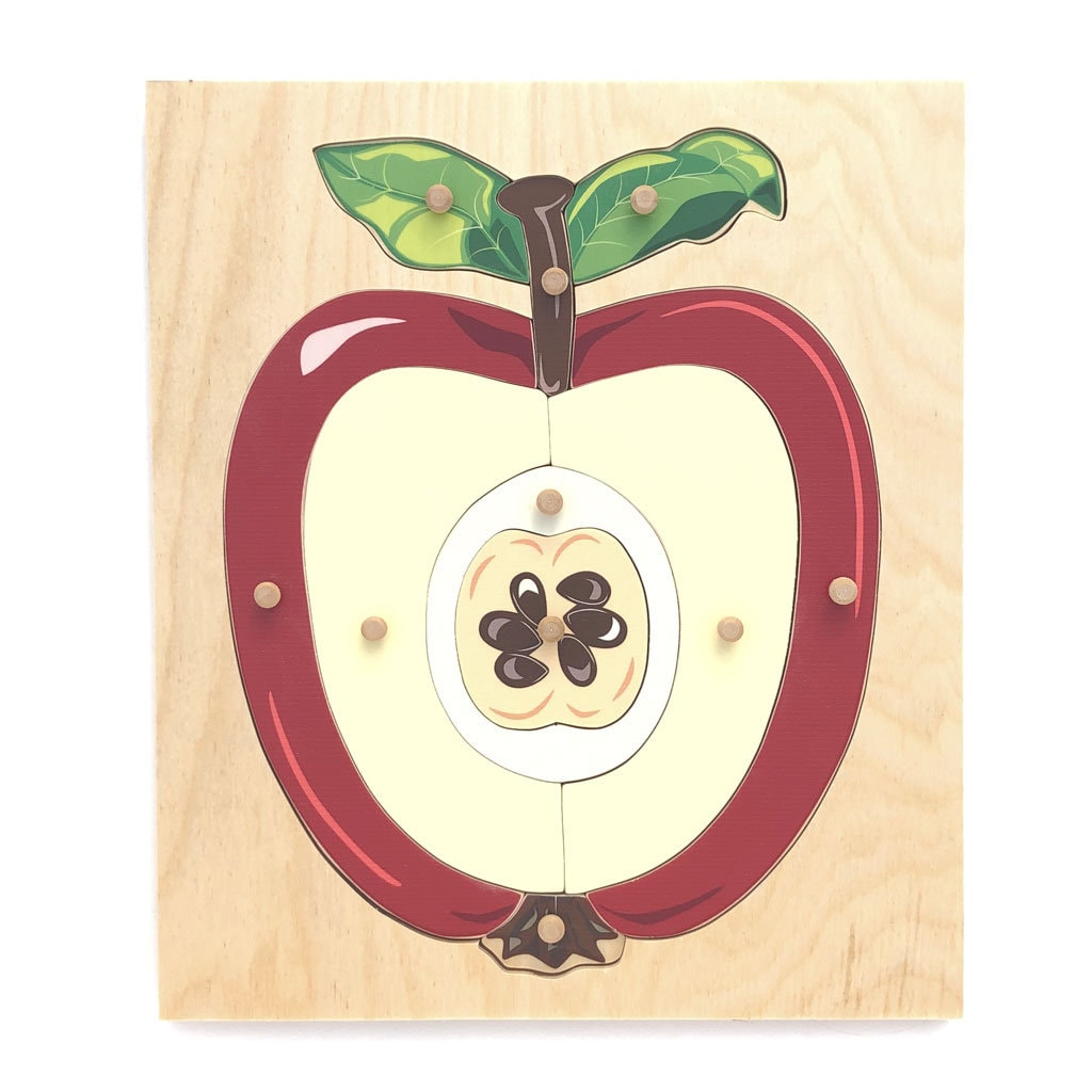 Montessori Red Apple Wooden Puzzle AND Apple Anatomy Printable 3 Part ...