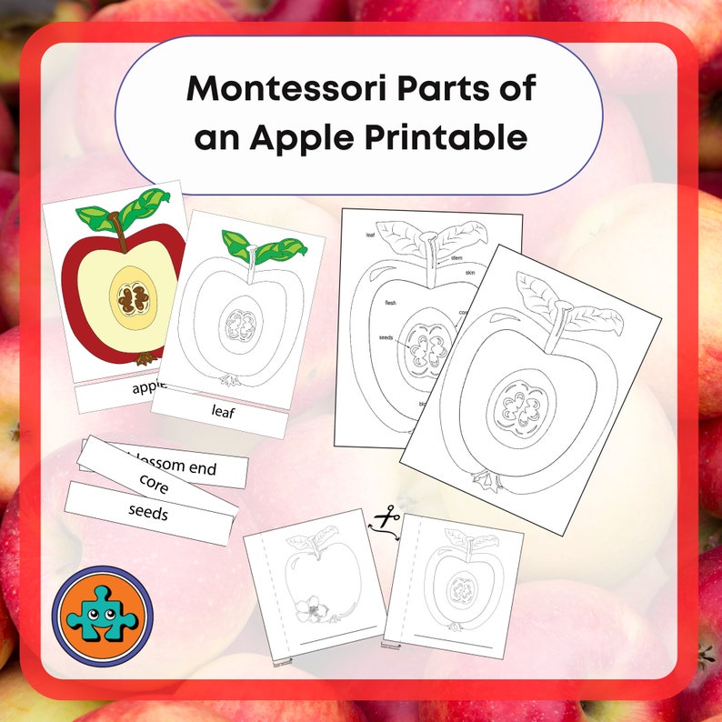 Parts of a Red Apple Printable 3 Part Cards Unity Study Montessori Fall ...