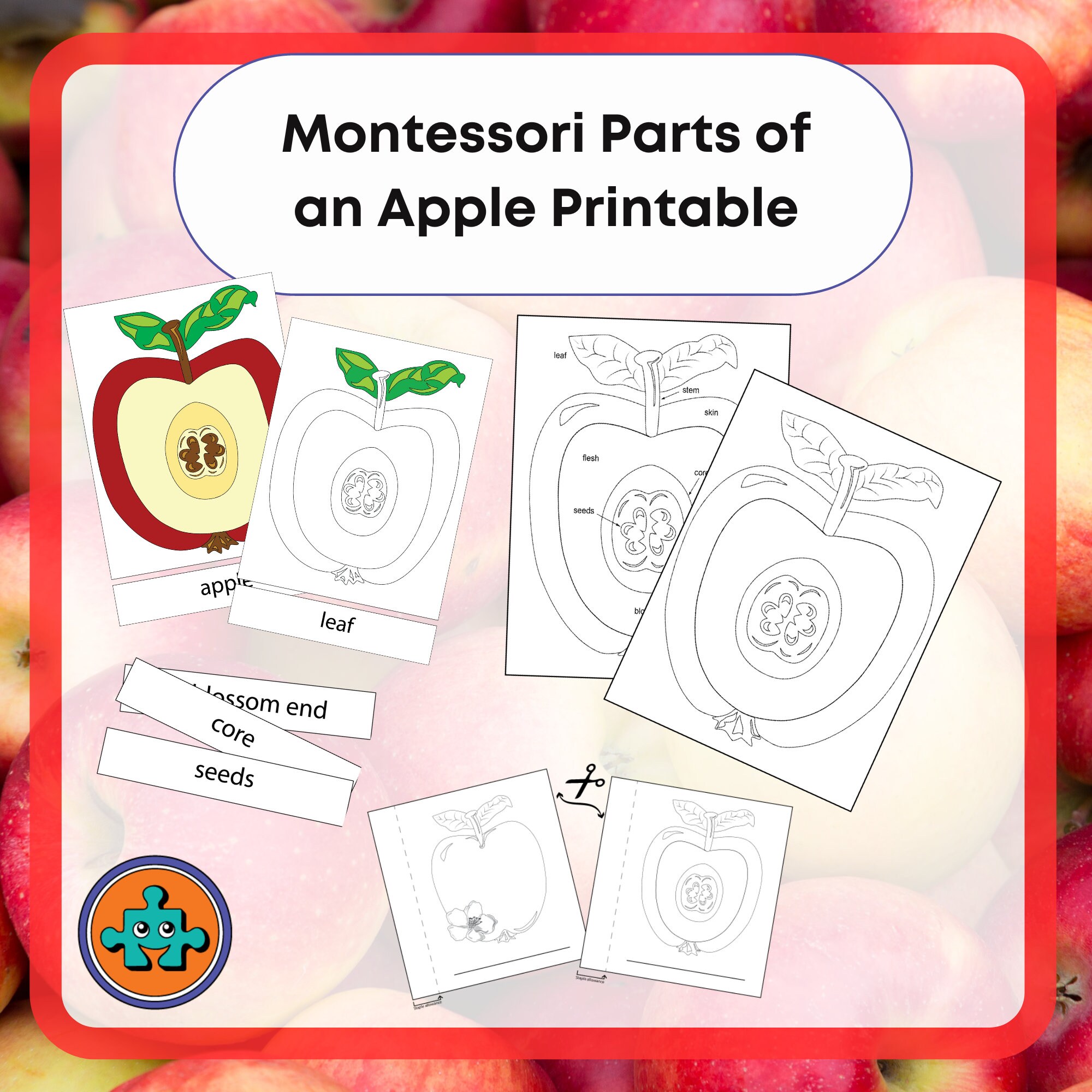Parts of a Red Apple Printable 3 Part Cards Unity Study Montessori Fall ...