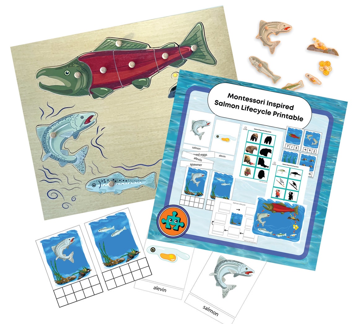 Montessori Wooden Salmon Lifecycle Parts of Sockeye Salmon Puzzle AND 3 ...