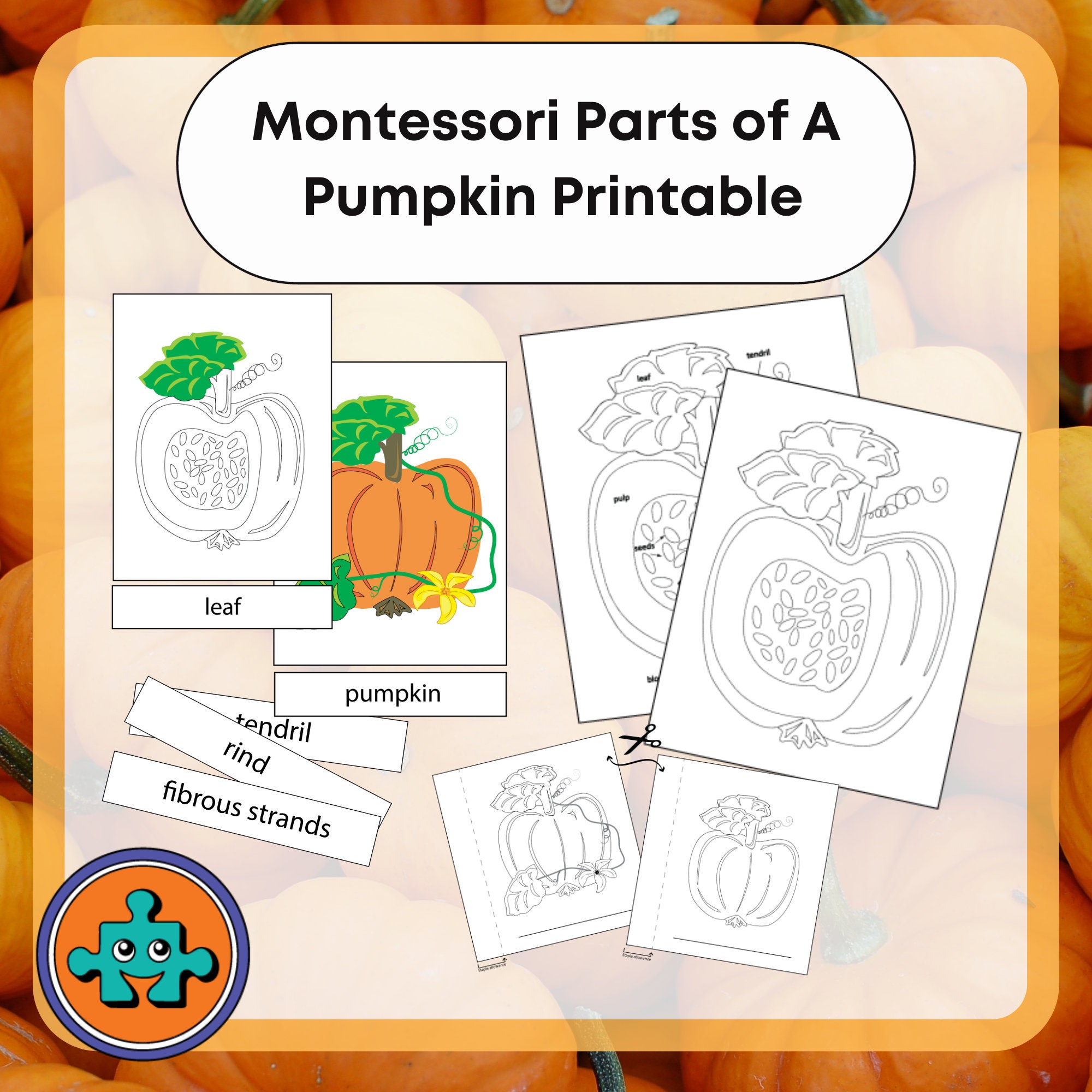 Parts of a Pumpkin Printable 3 Part Cards Anatomy Digital Download ...