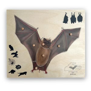 Montessori Bat Wooden Puzzle Parts of a Bat Anatomy - Etsy