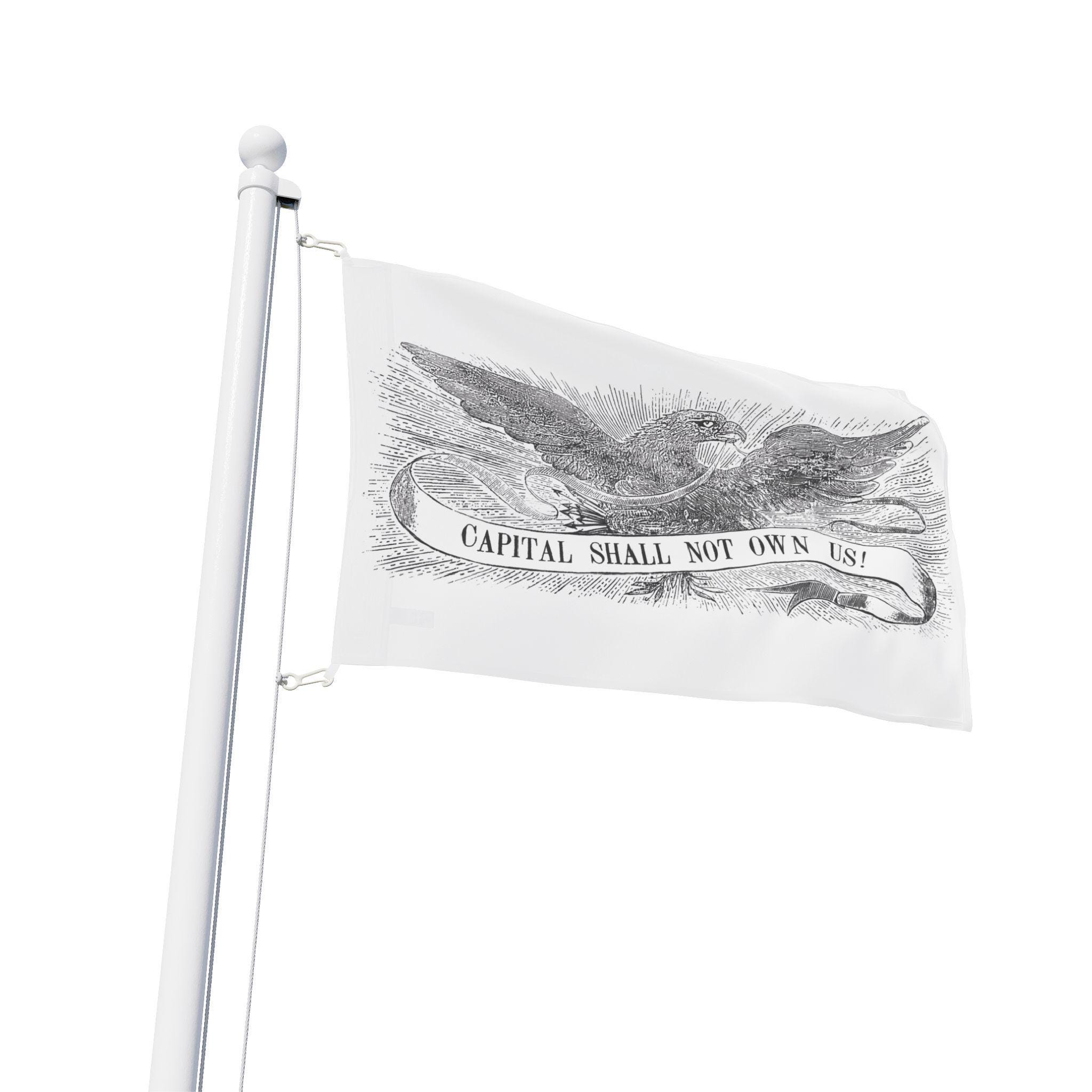 Wide Awakes Movement 1860, Double Sided Flag, Vintage Inspired Eagle ...