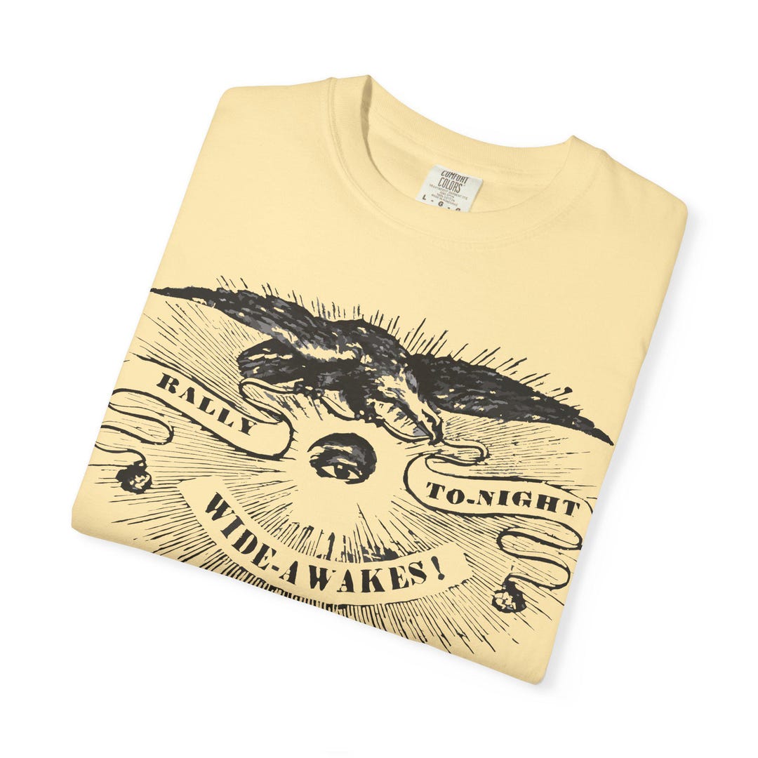 Wide Awakes T-shirt, Civil War History Tee, 1860 Election, Rally ...