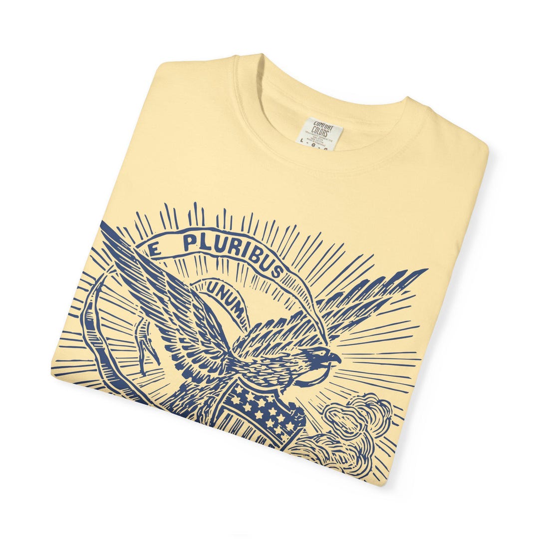 Patriotic T-shirt, E Pluribus Unum, Civil War History, American Eagle ...