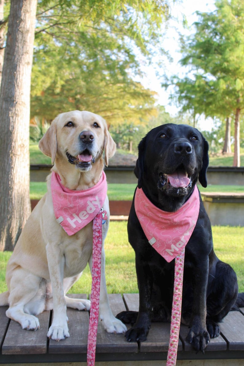 Bluey-inspired Bandana| Reversible Dog Bandana | Pet Gift XXS–XXL - Etsy