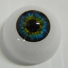 Pair of Life Size Realistic Human Acrylic Eyes for Halloween PROPS ...
