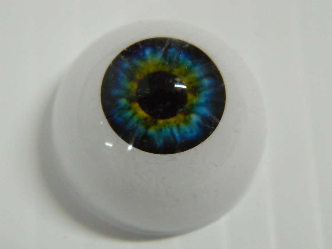 Pair of Life Size Realistic Human Acrylic Half Round Hollow Back Eyes ...