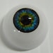 Pair of Life Size Realistic Human Acrylic Eyes for Halloween PROPS ...