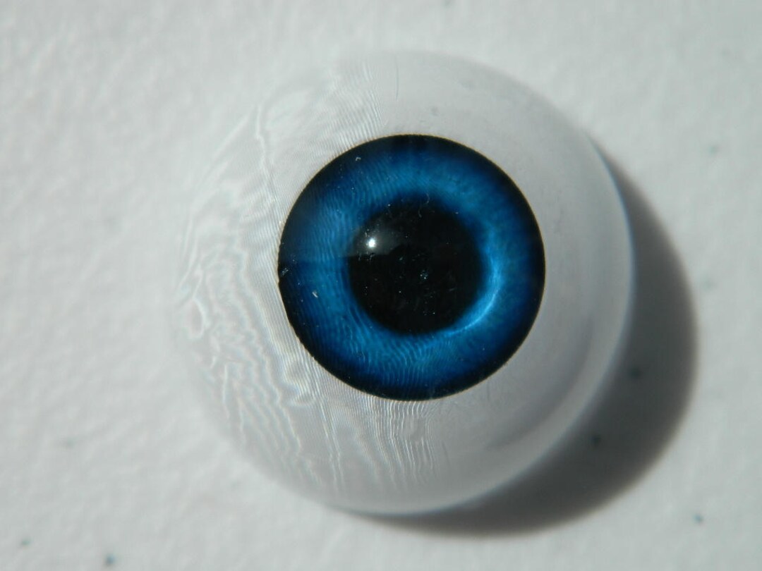 Pair of Life Size Realistic Human Acrylic Half Round Hollow Back Eyes ...