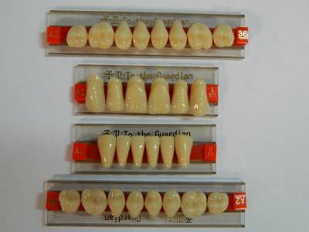 HALLOWEEN PROP Full Set of Dental Quality Human Resin Teeth for Prop ...