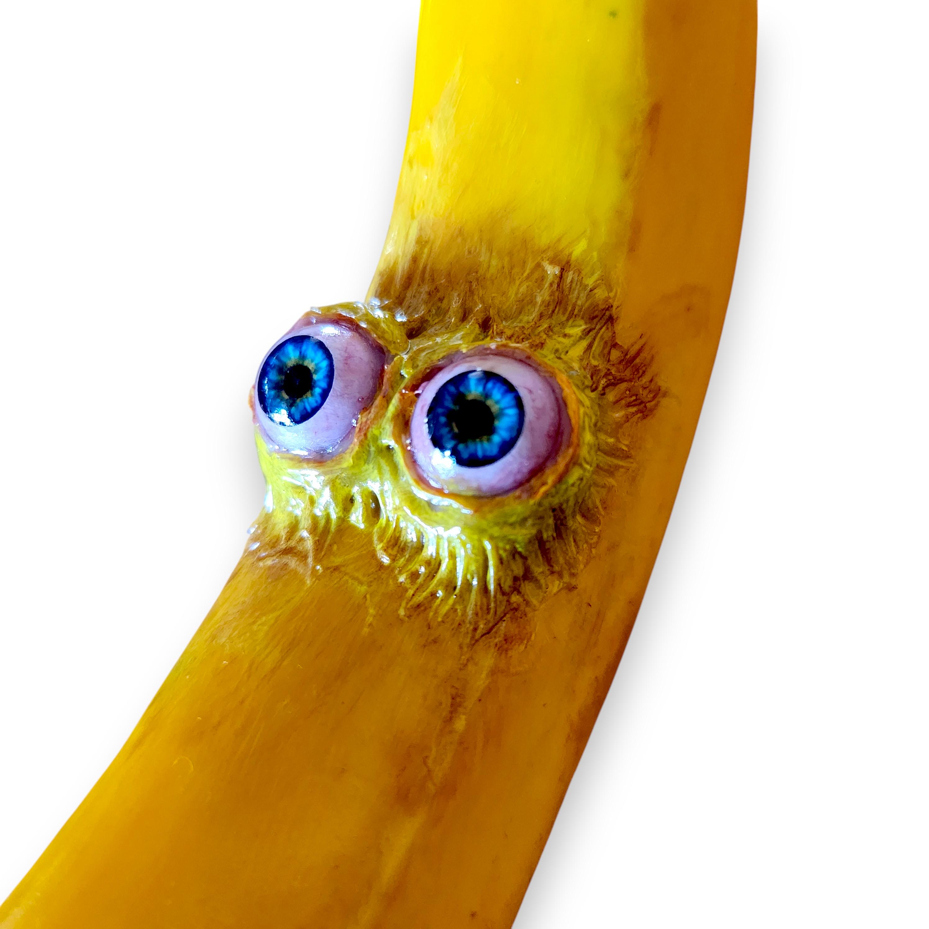 Realistic Life Sized Freaky Fruit BONGO the Banana by Dead Head Props ...